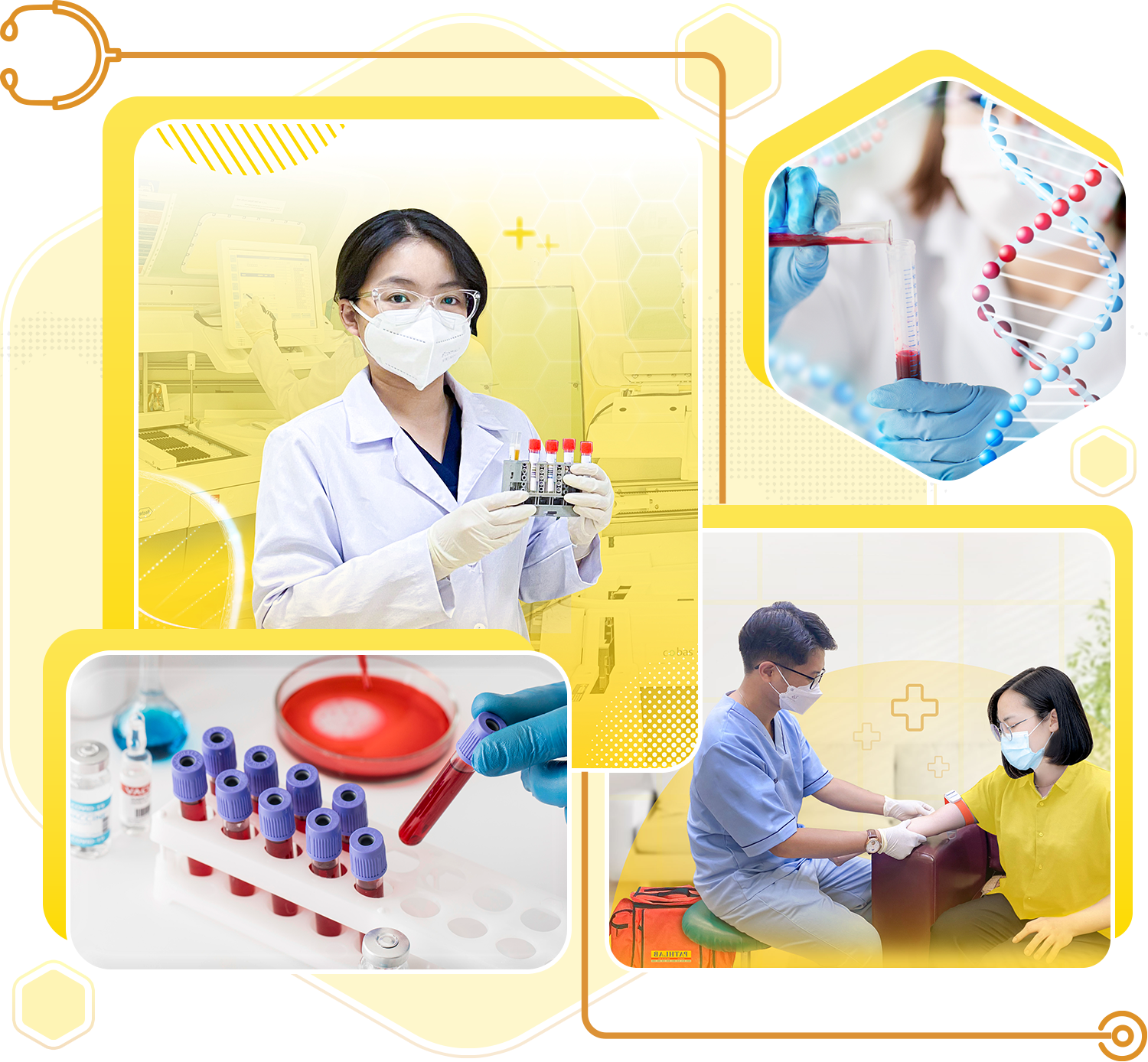 Pathlab Việt Nam | Xét nghiệm và Chẩn đoán hình ảnh